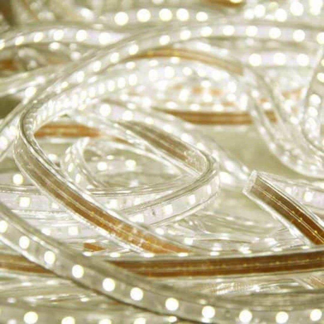 120V LED Strip Lights - Static Colors & Whites | Lumilum